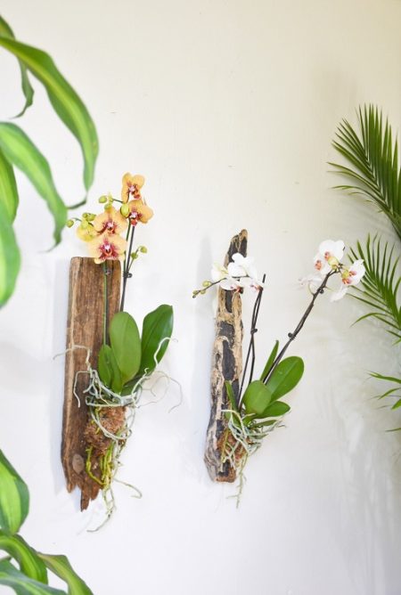 11 Amazing Orchid Arrangement Ideas ⋆ Bright Stuffs