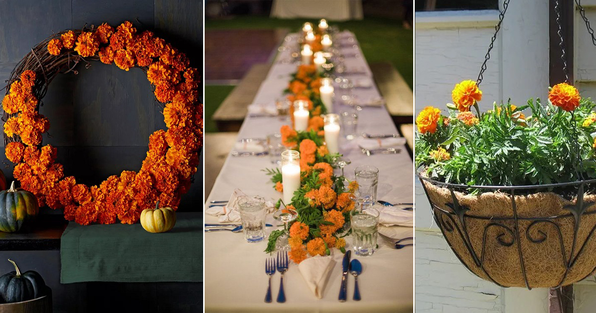 9 Amazing Marigold Arrangements Ideas ⋆ Bright Stuffs