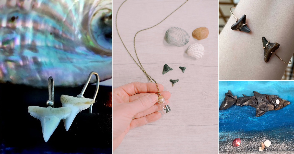 9 Creative Craft Ideas For Sharks Teeth ⋆ Bright Stuffs