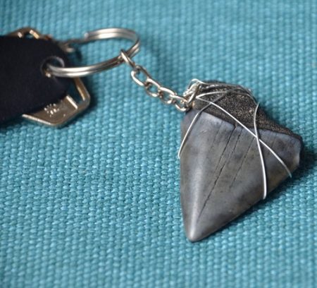 9 Creative Craft Ideas For Sharks Teeth ⋆ Bright Stuffs