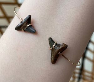 9 Creative Craft Ideas For Sharks Teeth ⋆ Bright Stuffs