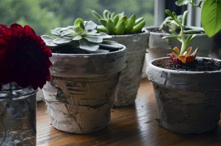 9 Birch Bark Craft Ideas ⋆ Bright Stuffs