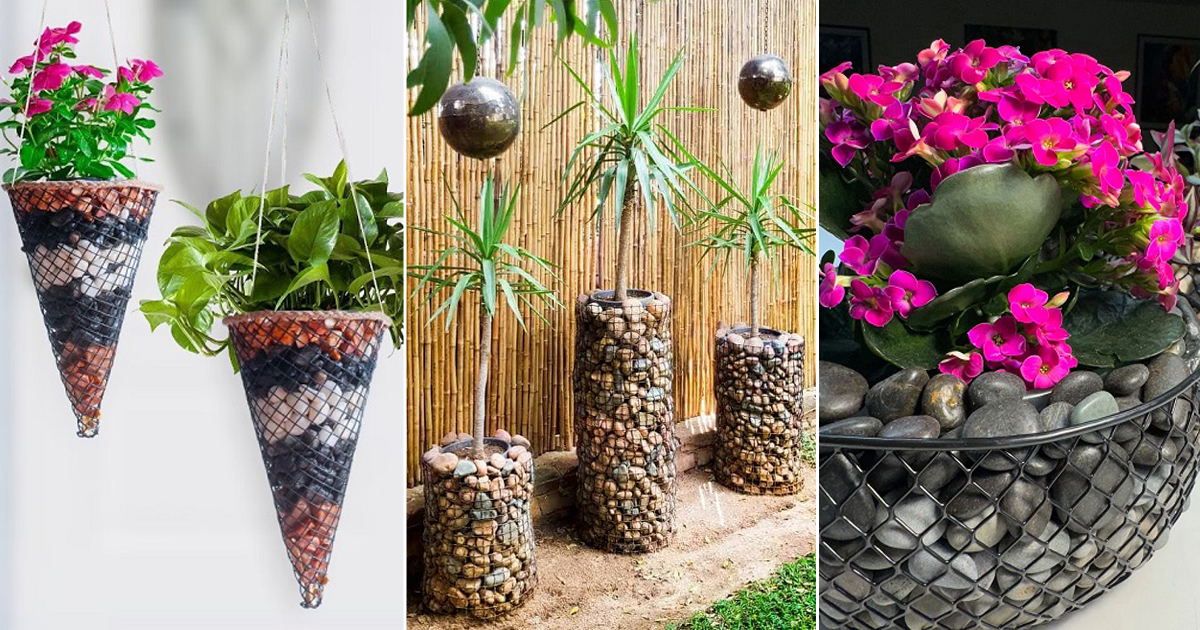 6 DIY Gabion Planter Ideas ⋆ Bright Stuffs