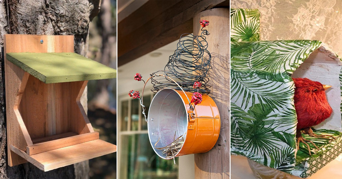 6 Free Cardinal Birdhouse Plans and Ideas ⋆ Bright Stuffs