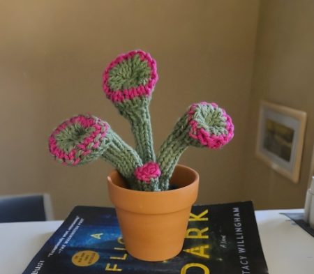 10 Knitted Plants Free Patterns ⋆ Bright Stuffs