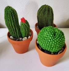 9 Knitted Cactus Free Patterns ⋆ Bright Stuffs