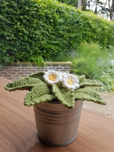 10 Knitted Plants Free Patterns ⋆ Bright Stuffs