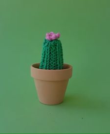 9 Knitted Cactus Free Patterns ⋆ Bright Stuffs