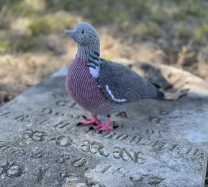 13 Knitted Pet Birds Free Patterns ⋆ Bright Stuffs