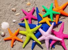 16 Knitted Fish Free Patterns ⋆ Bright Stuffs