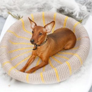 12 Knitted Pet Bed Free Patterns ⋆ Bright Stuffs