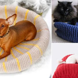 12 Knitted Dog Free Patterns ⋆ Bright Stuffs