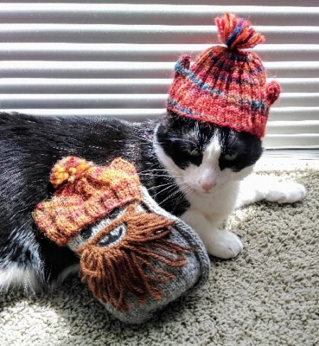 9 Knitted Hat for Cats Free Patterns ⋆ Bright Stuffs