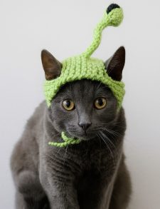 9 Knitted Hat for Cats Free Patterns ⋆ Bright Stuffs