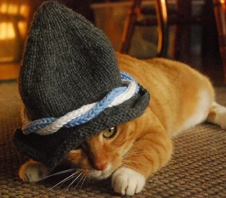 9 Knitted Hat for Cats Free Patterns ⋆ Bright Stuffs