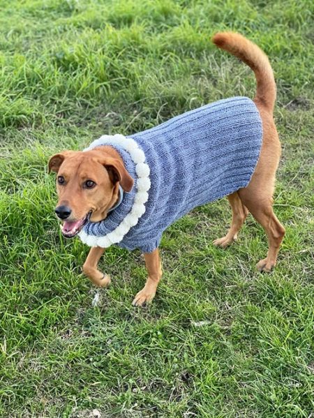 12 Dog Sweater Free Knitting Patterns ⋆ Bright Stuffs