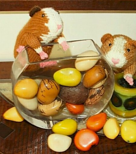 5 Guinea Pigs Free Knitting Patterns ⋆ Bright Stuffs