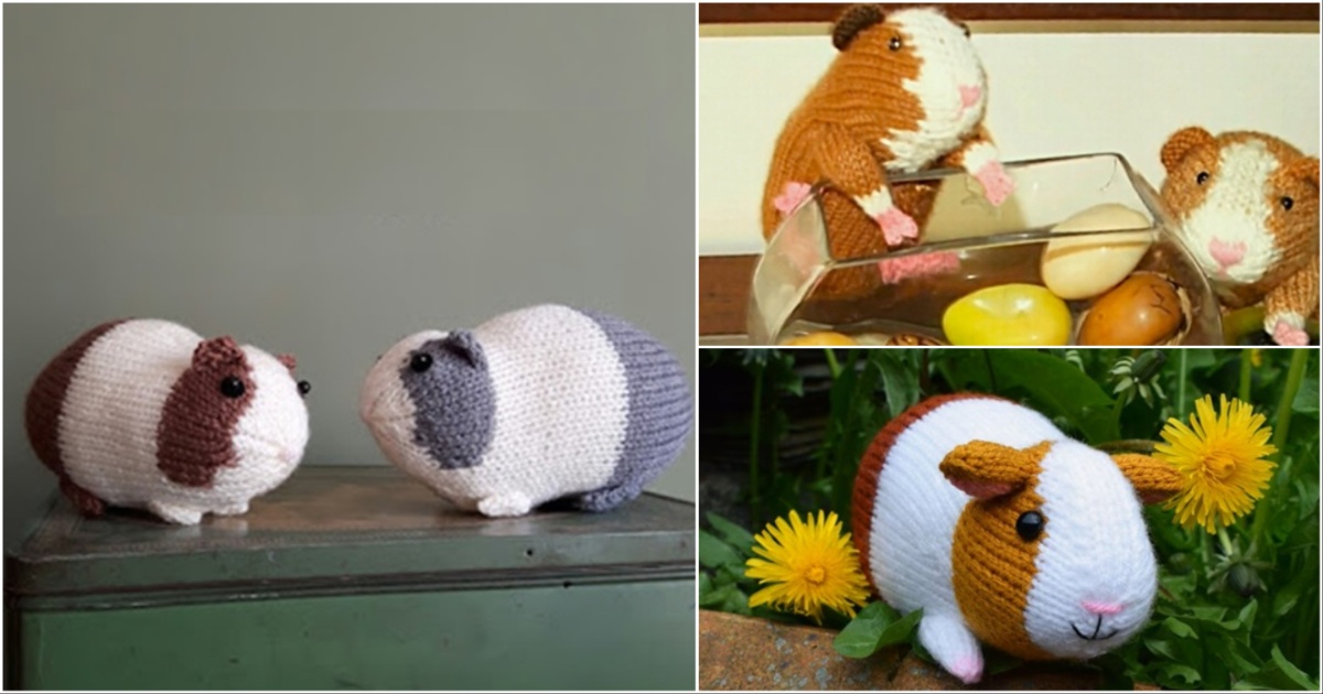 5 Guinea Pigs Free Knitting Patterns ⋆ Bright Stuffs